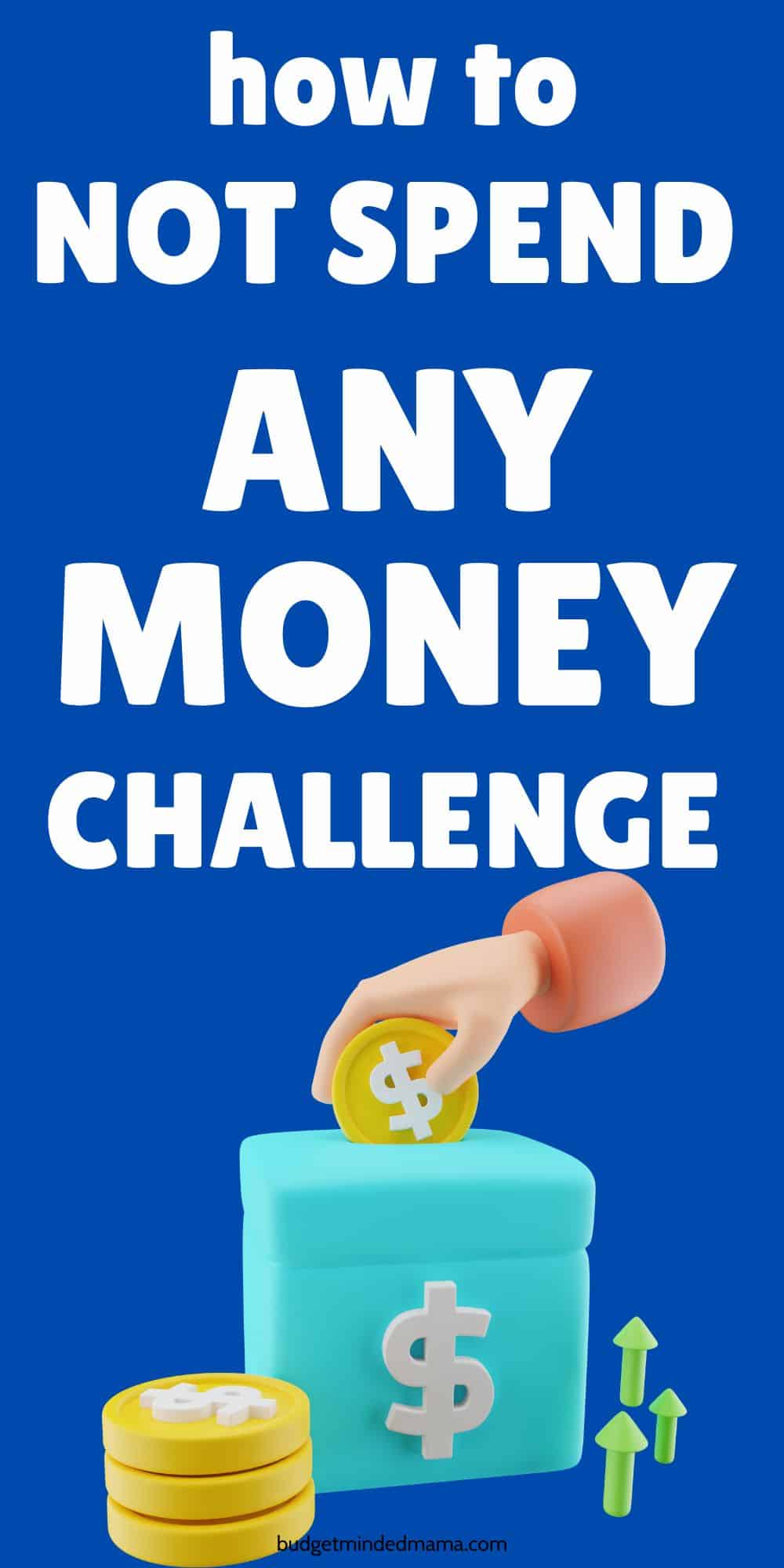 Should You Try the Viral No Spending Challenge?