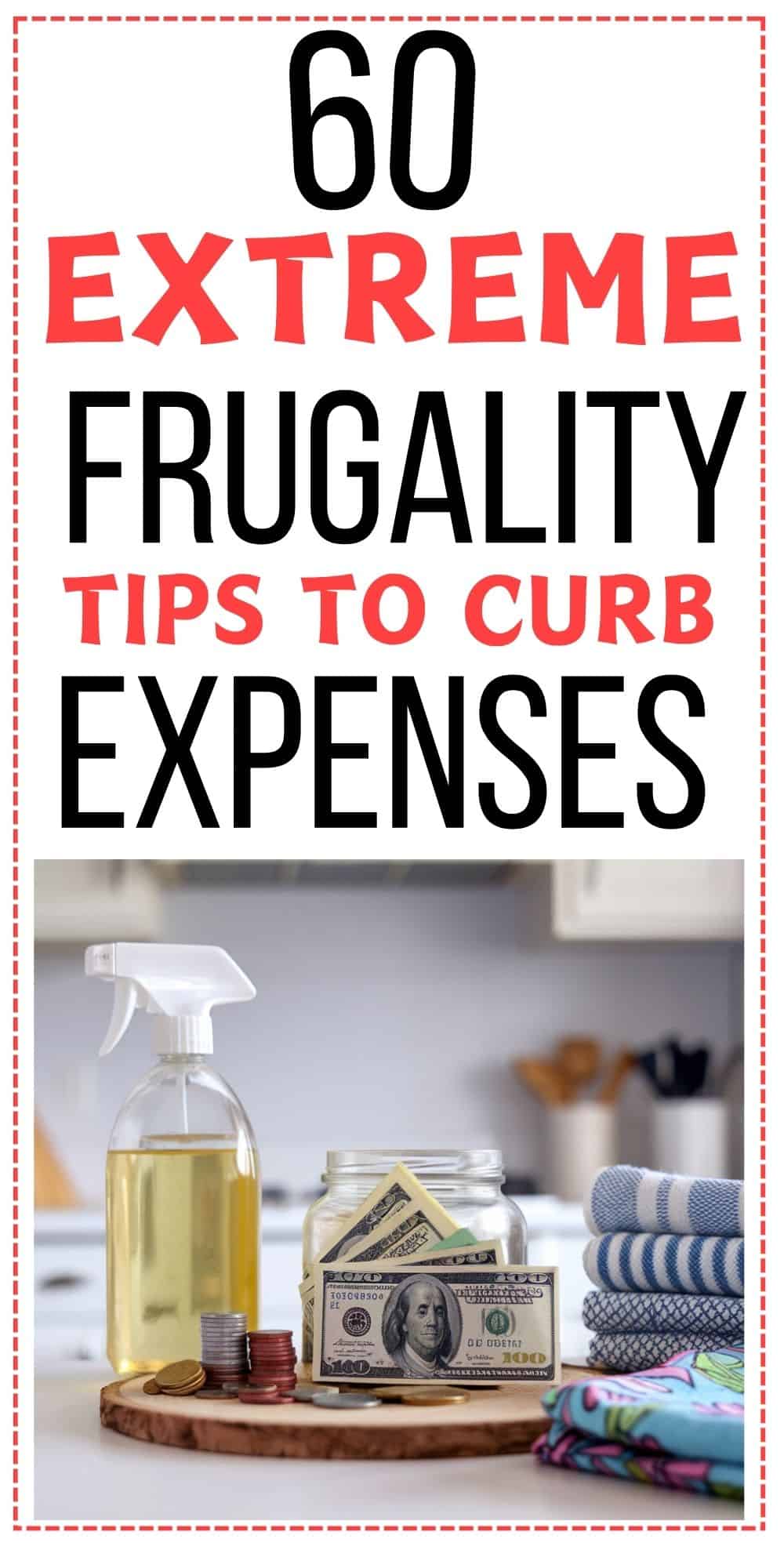 Extreme Frugal Living : 60 Ways to Curb Expenses
