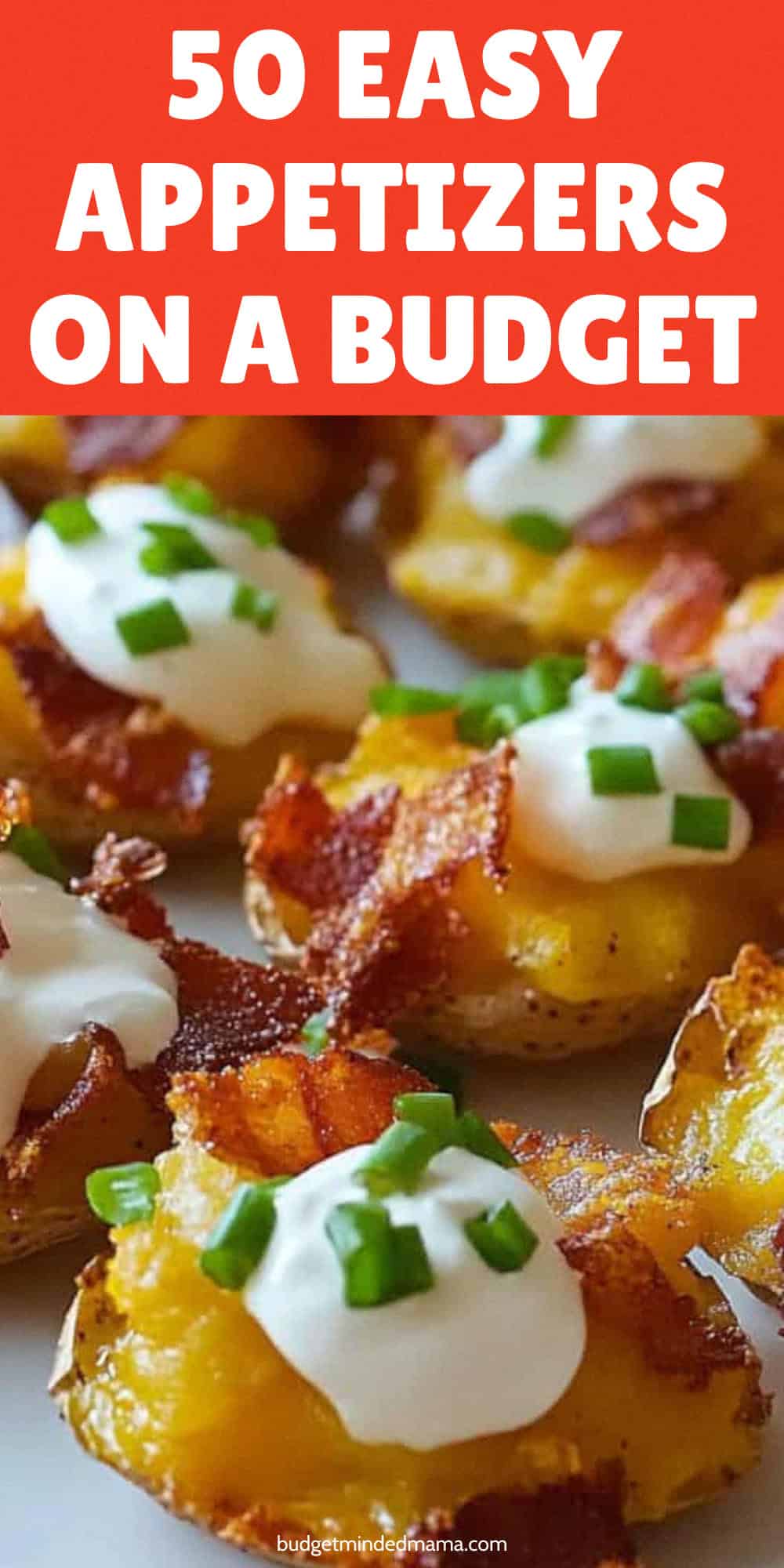 50 Very Cheap Appetizers for a Party